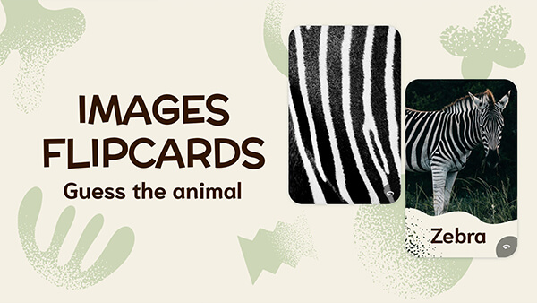 Free flashcard and flip card maker | Genially